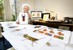 Wetenschappelijk illustrator zwaait af: ‘Ik fietste door het hele ...