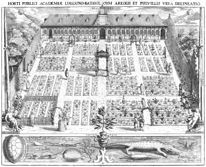 Hortus viert 500 jaar Clusius: ‘Hij zou gefascineerd zijn door wat er ...