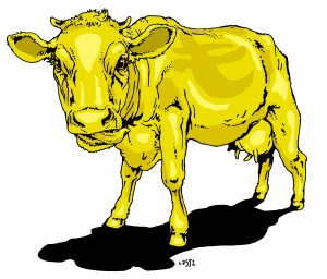 Rechten moet vijf miljoen bezuinigen: ‘Dit is een enorme taakstelling ...